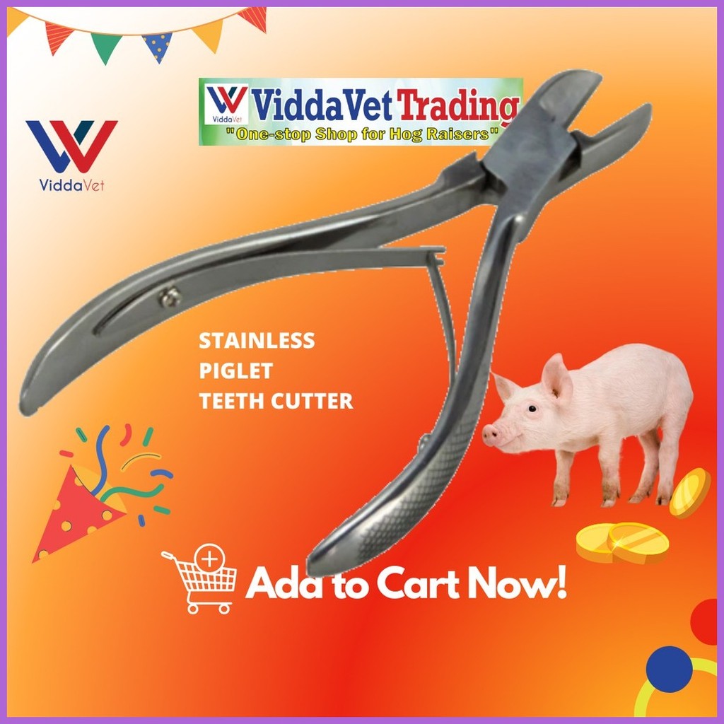 ∇ ☑ Piglet teeth cutter Piglet teeth nipper Stainless Steel pamputol o ...