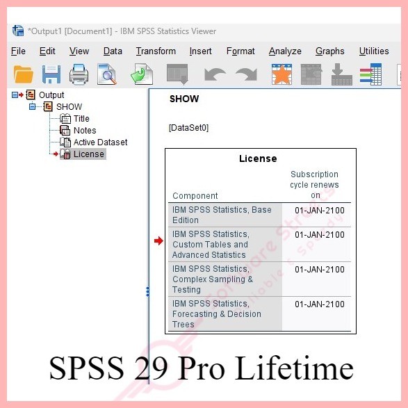SPSS Statistics v29 [Instant Redeem & Send, Full Lifetime] | Shopee ...