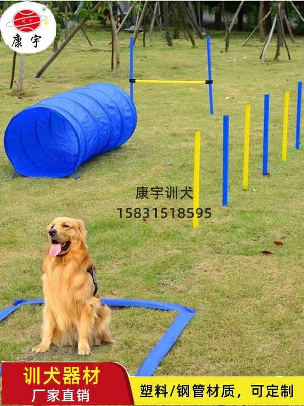 Tt Tt Equipment Pagsasanay Aso, Nagsasanay Para Sa Agility Aso Hayop ...