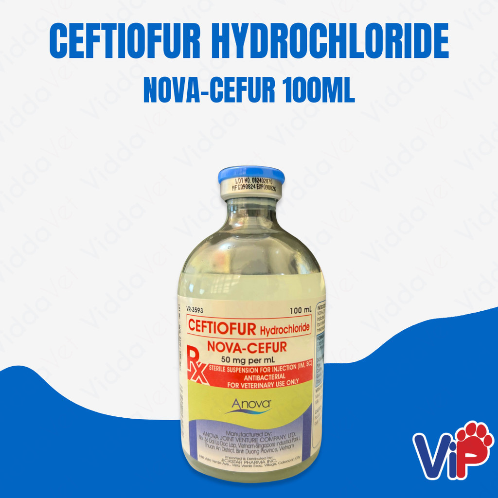Nova-Cefur 100ml for Cattle, Swine & Sheep Ceftiofur for Animals ...
