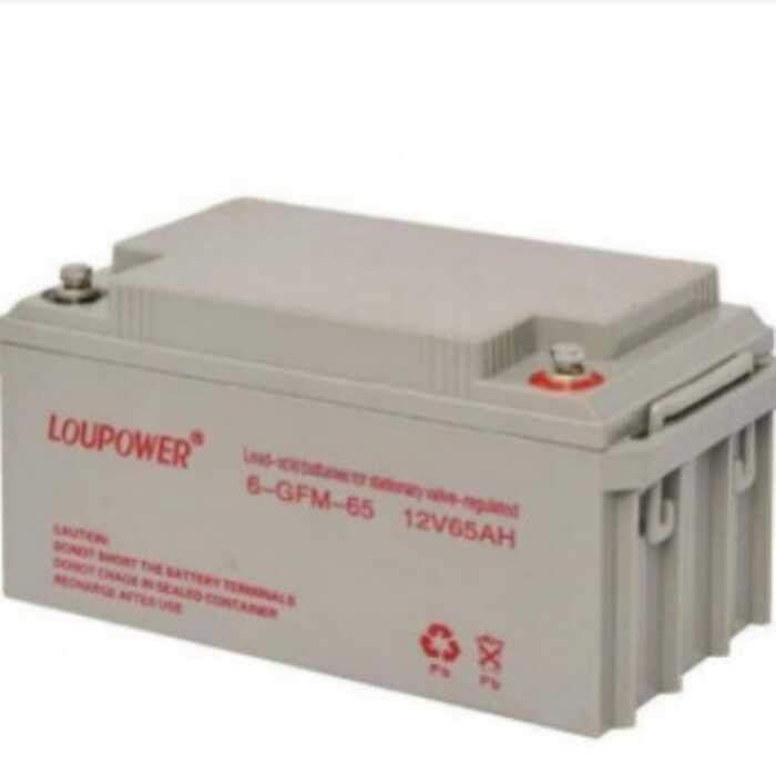 LOUPOWER Battery 12V65ah Backup Power Supply Device 6-Gfm-65 E0d 6A5 ...