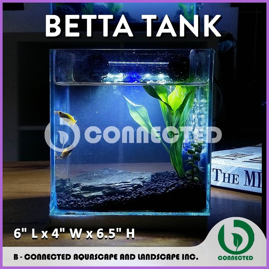 ♣ ℗ BETTA TANK ( MINI AQUARIUM GLASS FISH / SHRIMP TANK ) BY B ...