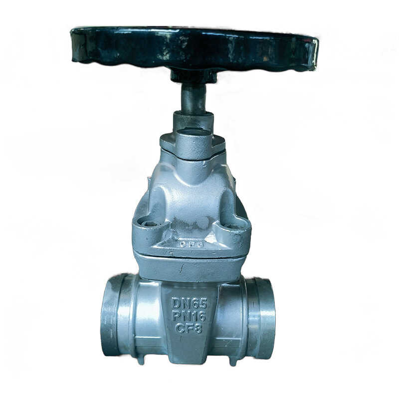 Stainless Steel Groove Gate Valve Concealed Stem Elastic Clamp Gate ...