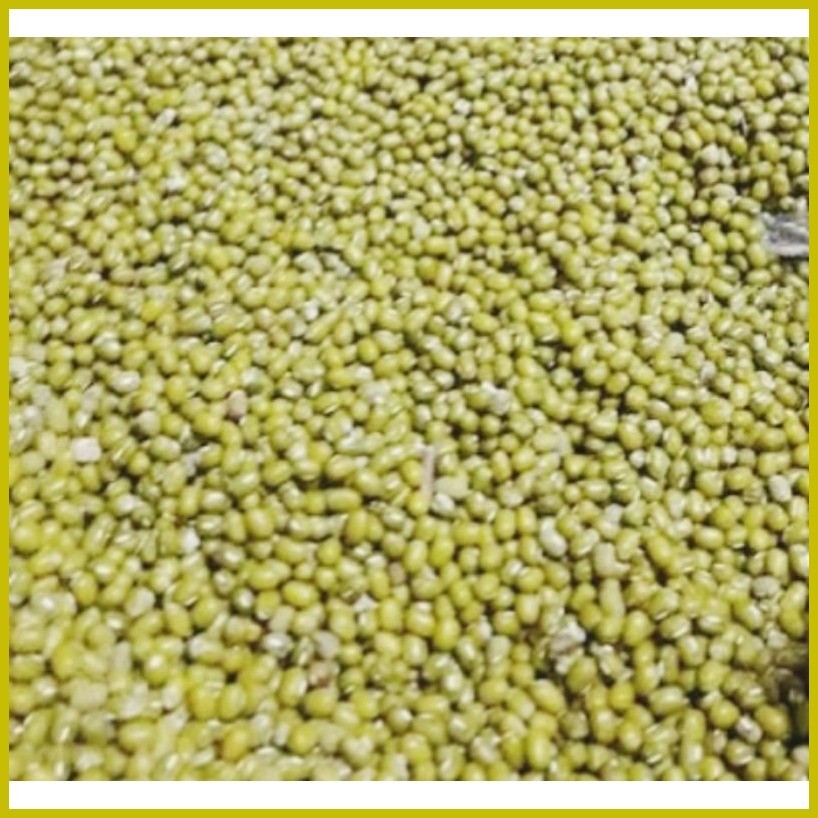 ☢ MUNGO/MUNG BEAN LABO MALAPOT 250 GRAMS/500 grams/1 Kilo | Shopee ...