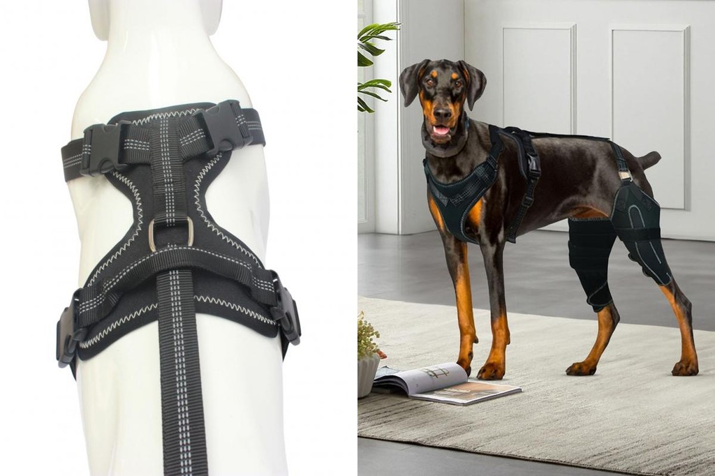 TF* Pet Leg Support Brace Orthopedic Hind Leg Support for Dogs Dog Knee ...