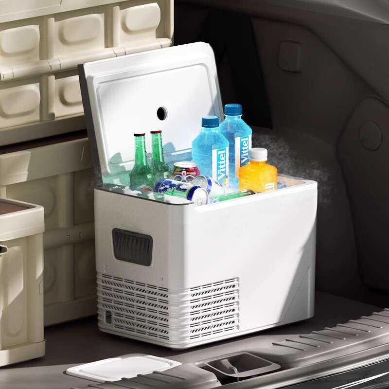 car portable SAST refrigerator 12V24V freezer refrigeration truck, car ...