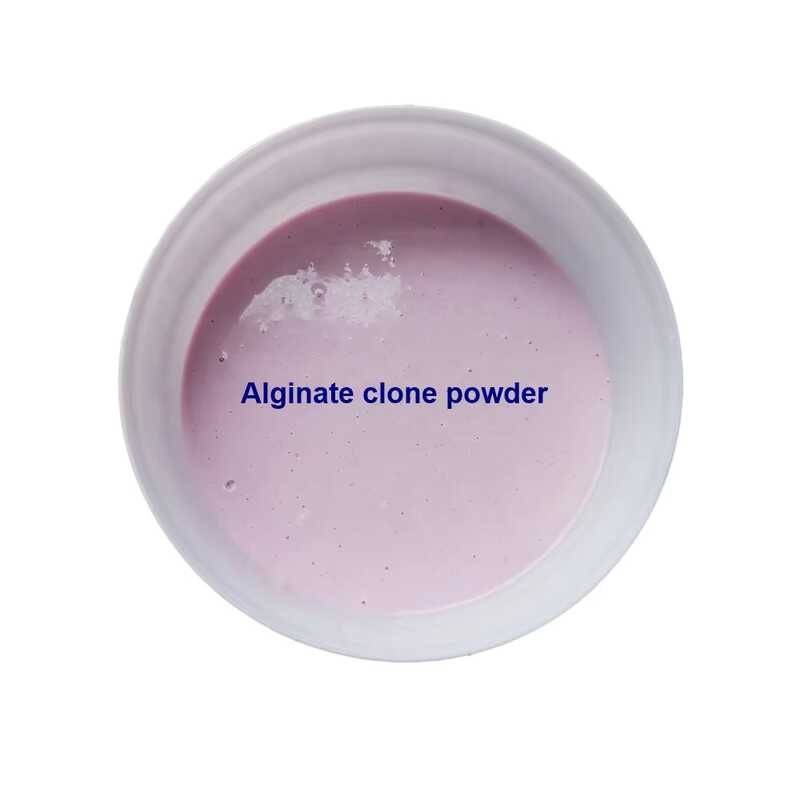 3D Plaster DIY Hand And Foot Casting Kit Gifts Molding Clone Alginate Powder | Shopee Philippines