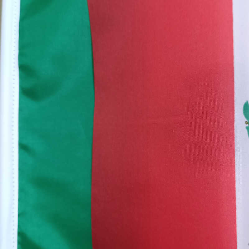 Hand Custom Wave Flags with Pole, Flag for Club Fans, Celebrating ...