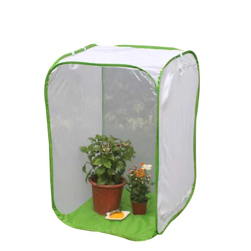 Foldable Insect And Butterfly Habitat Rearing Cages | Shopee Philippines