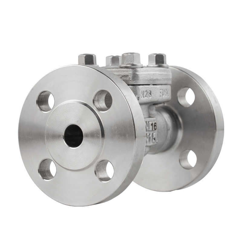 304 Stainless Steel Flange Check Valve, Normal Temperature Check Valve ...