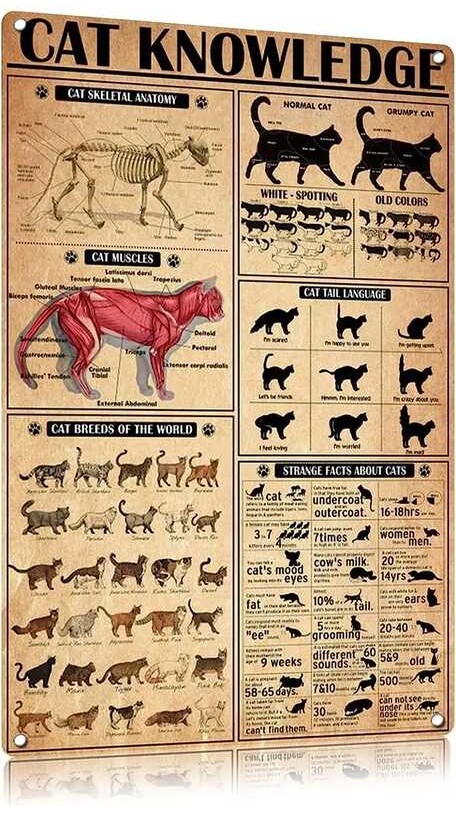 Metal Vintage Tin Sign Infographic Plaque Animal Science Poster Cat ...