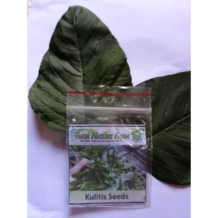 Kulitis Seeds ( Spinach ) approx 150 seeds | Shopee Philippines