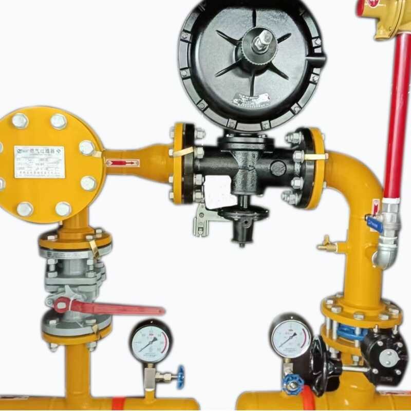 Gas Pressure Regulating Cabinet, Natural Gas CNG Pressure Regulating ...