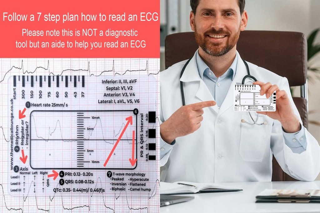 Ekg 7 Step Ruler Lightweight 7 Step Ruler Transparent Ekg Caliper Measuring Tool Set Easy Ecg ...