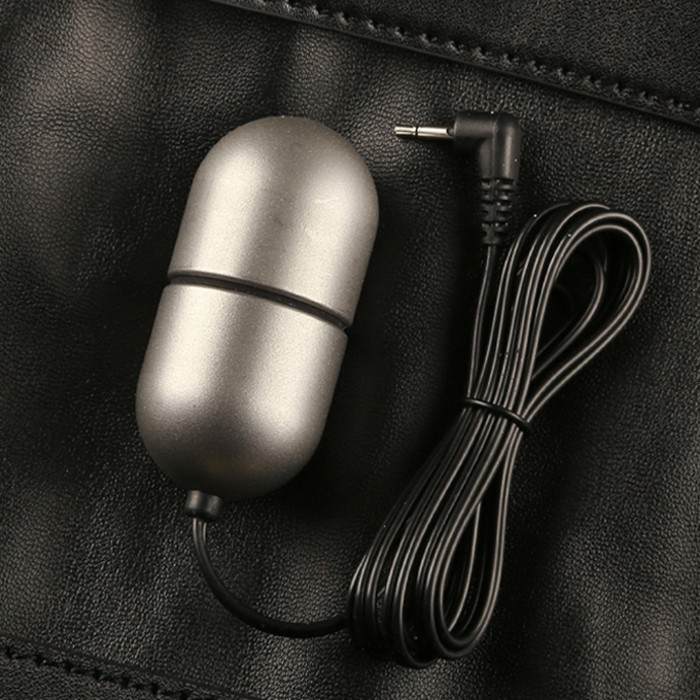 Coyote Electric Shock Device Wireless APP Remote Control SM Training ...