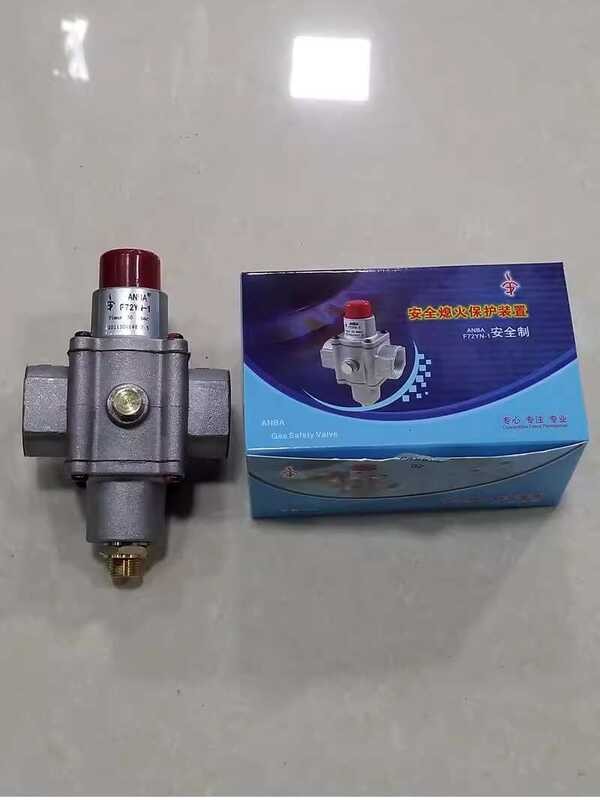 Electronic ignition safety system, induction line, oven head, Italian ...