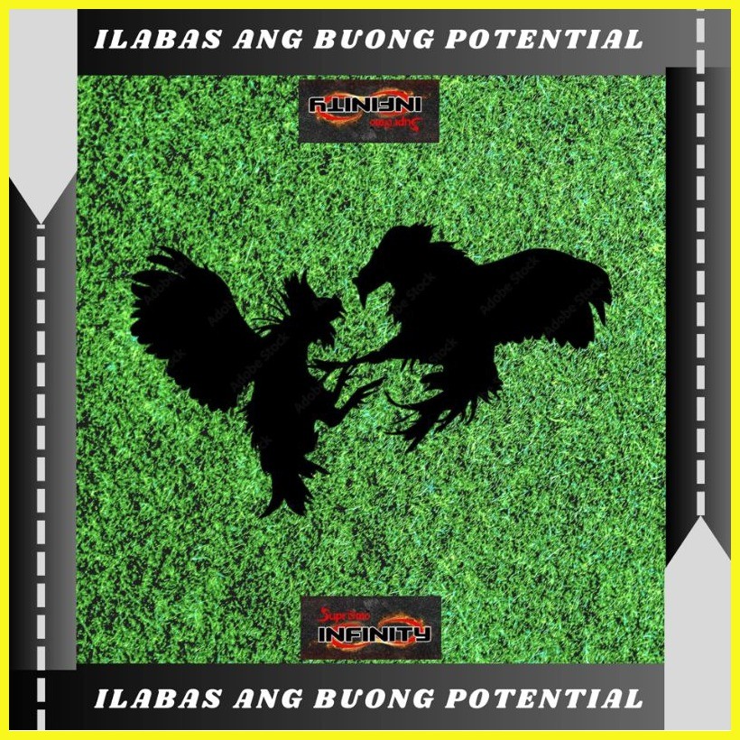 ⚠ ∞ CUSTOMIZABLE Limber Matting Black Gamefowl with Grass Background ...