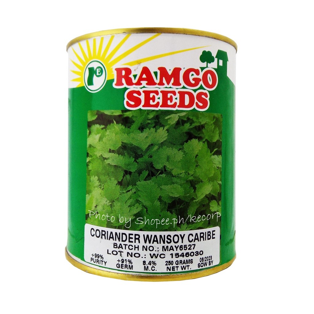 ⋄ ☩ ℗ Ramgo Seeds Tin Can Coriander Wansoy Caribe 250g GDSFPH_S4 ...