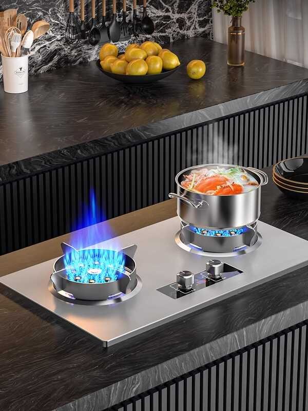 Rongshida House Desktop Embedded Dual purpose Natural Liquefied Gas ...