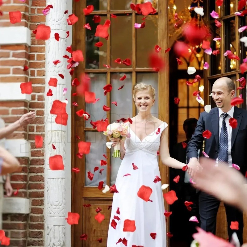 2000Pcs Artificial Fake Rose Petals Colorful Simulation Silk Rose Petal ...