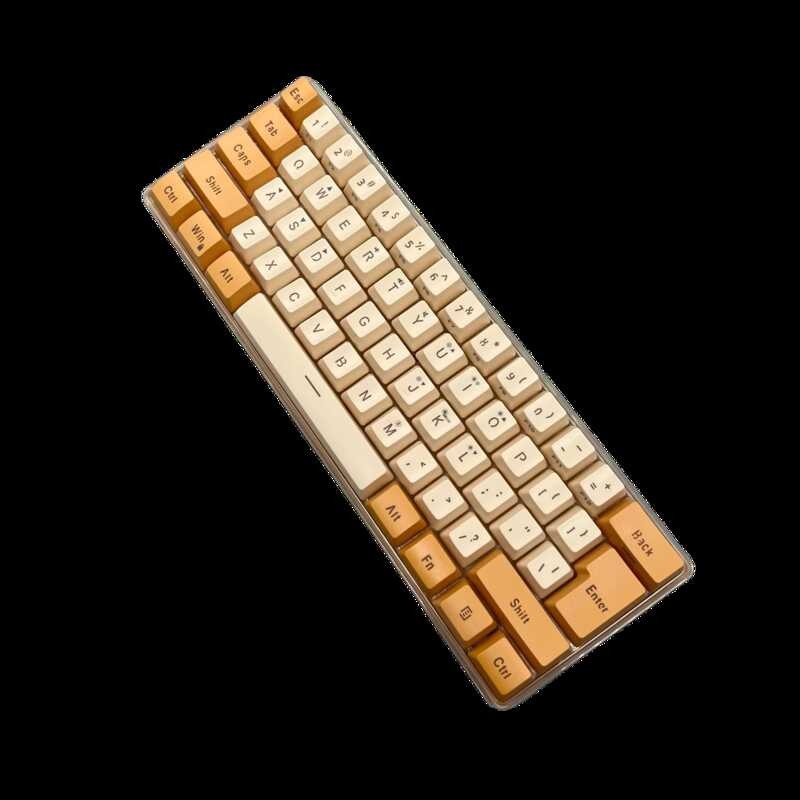 Mini Wired 61 Keys RGB 60 Percent Gaming Keyboard | Shopee Philippines