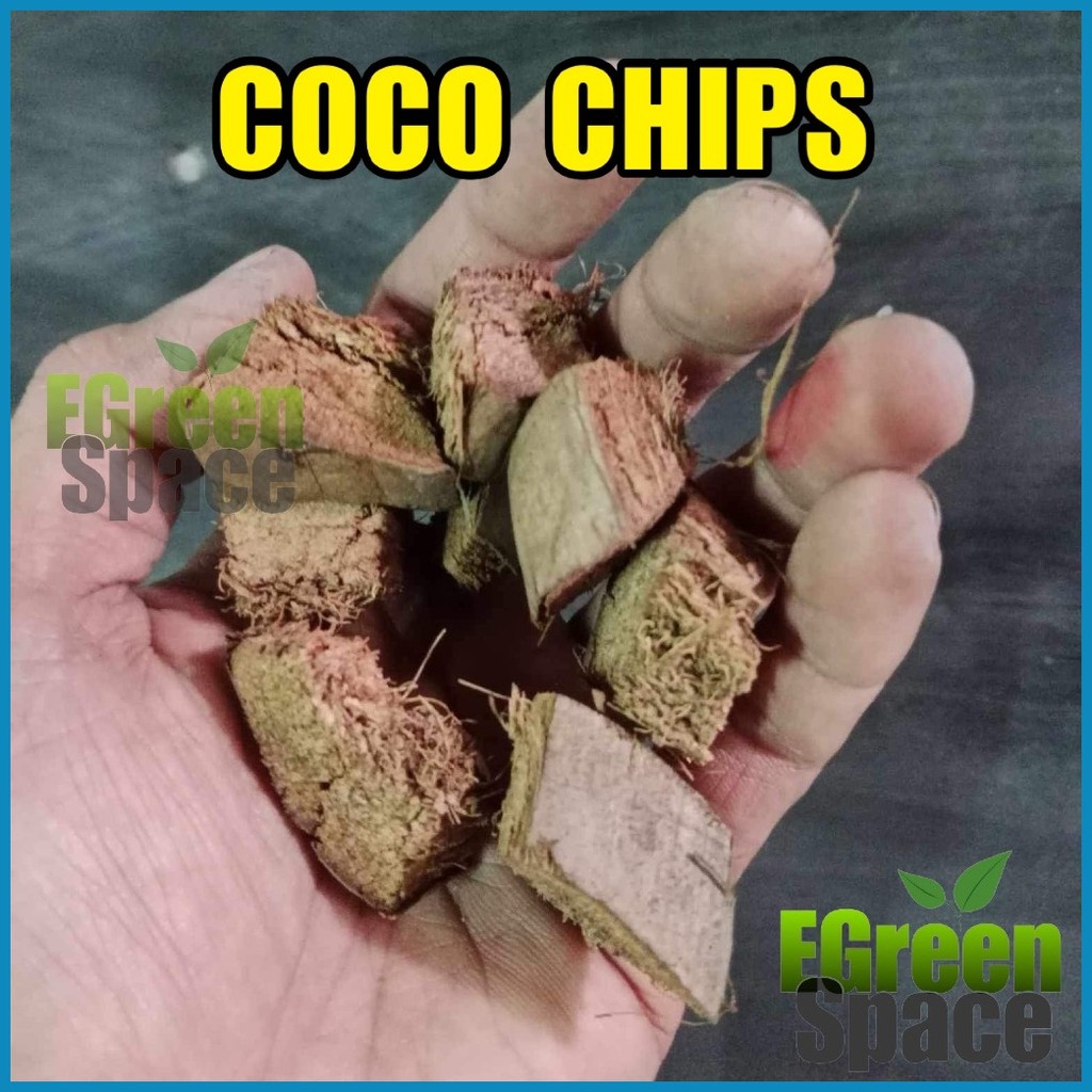 COCO CHIPS CHUNKS CUBES CHAPS - 200grams | Shopee Philippines