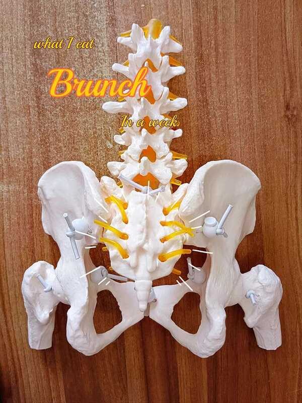 Tt Mini Female Pelvic Dynamic Model Teaching Aids For Sachip Practical ...