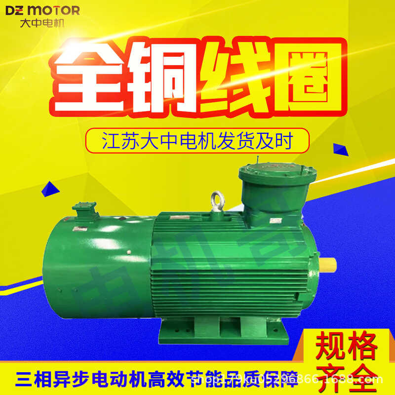 Jiangsu Dazhong Motor YBBP Series Explosion proof Variable Frequency Speed Control Motor with H ...
