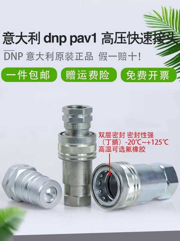ღ PAV106 10 1313 Italian DNP hydraulic quick connector Kubota cone high ...