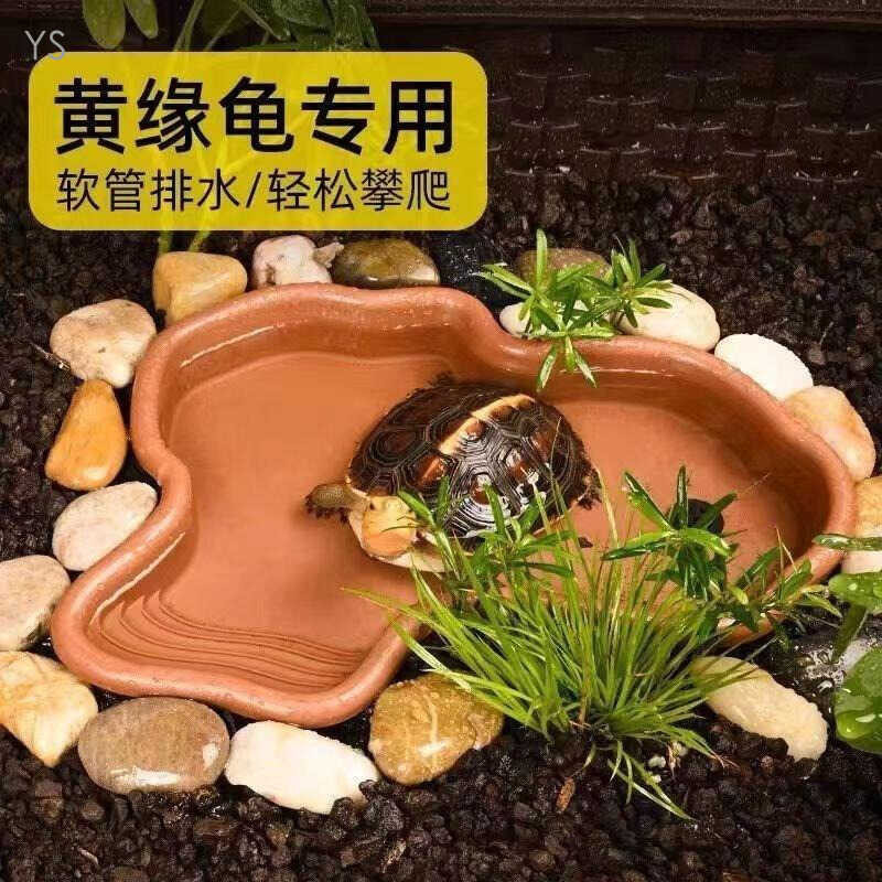 Aquarium Turtle & Terrarium Semi-Aquatic Reptile Tank For Yellow ...