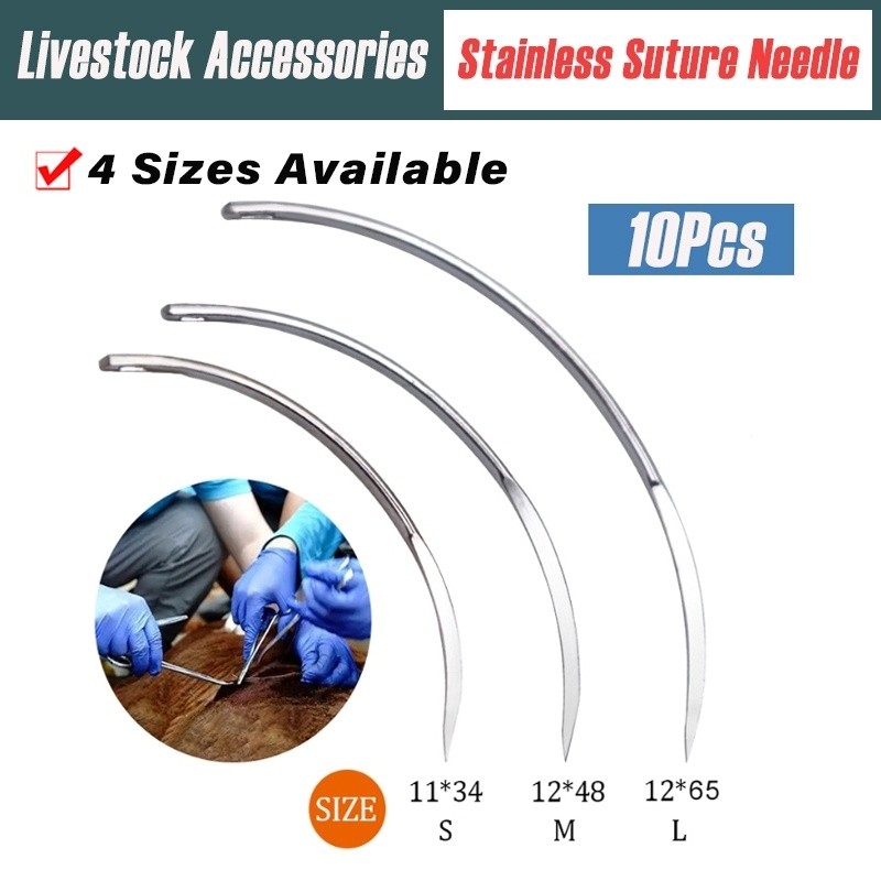 10Pcs Stainless Suture needles Veterinary Surgical Suture curve needle ...