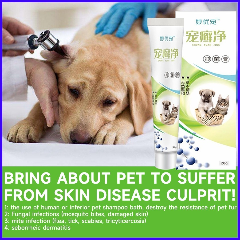 Dog Ointment For Skin Disease Ringworm Ointment For Cat Dog Anti Fungal ...