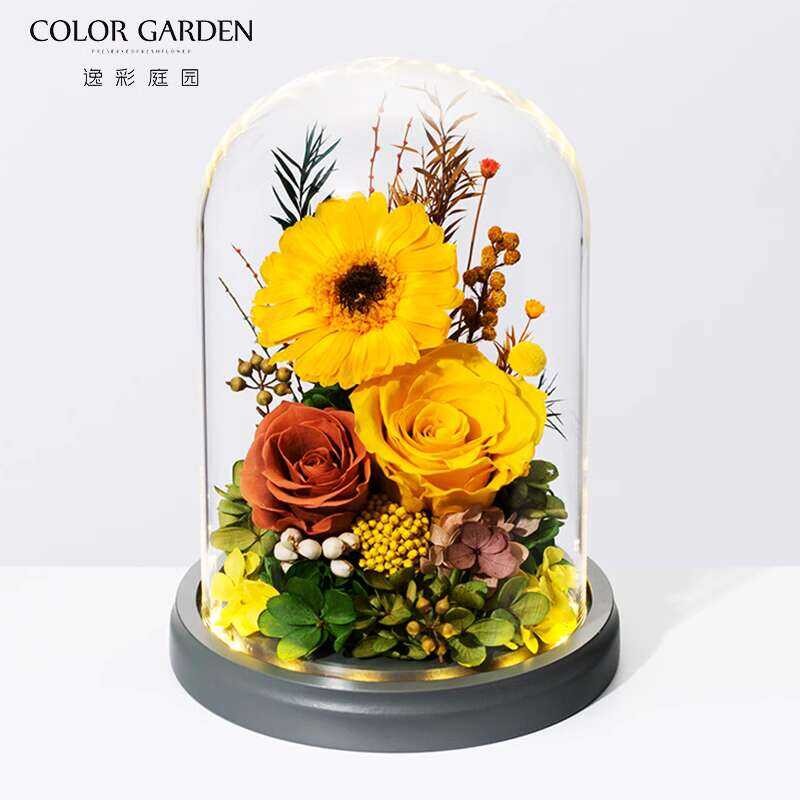 Tt Birthday Graduation Season Cher Valentine's Day Sunflower Eternal ...