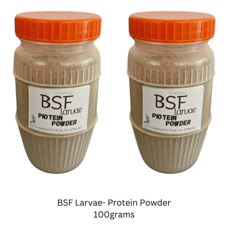 Black Soldier Fly Larvae Protein Powder Supplement- Birds, Reptile And ...