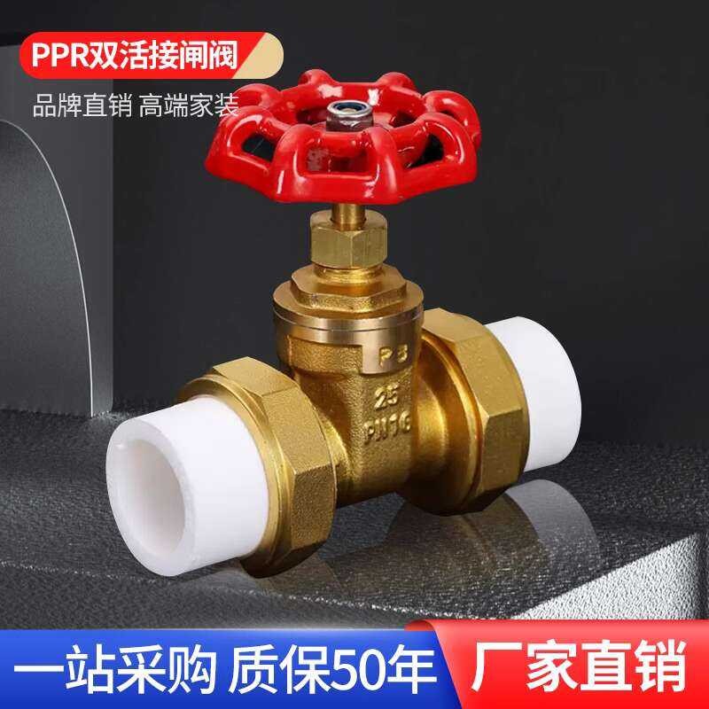 PPR ng baker gate PE papasok tubig valve switch 4/20 pipe 6/25 double ...