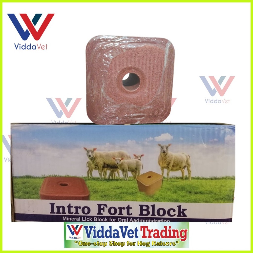 ⊙ 1 block Intro Fort Block Mineral Block 5kgs Holland for Cattle Sheep ...