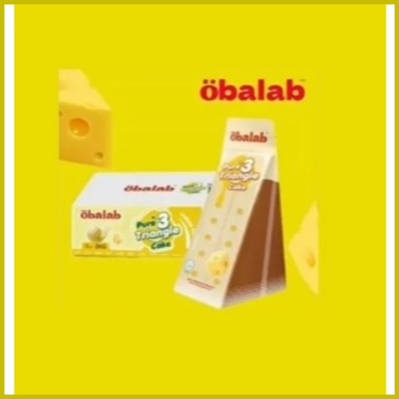 Obalab Indonesia Pure 3 Triangle Cake 100g | Shopee Philippines