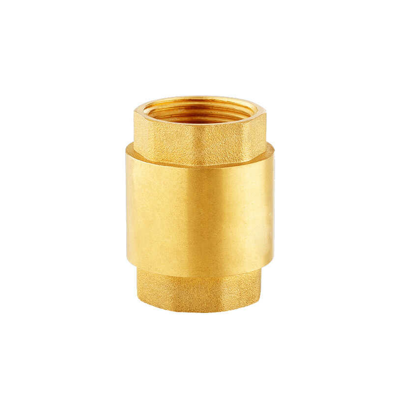 Brass Vertical Check Valve, Inner And Outer Wire Spring Check Valve ...