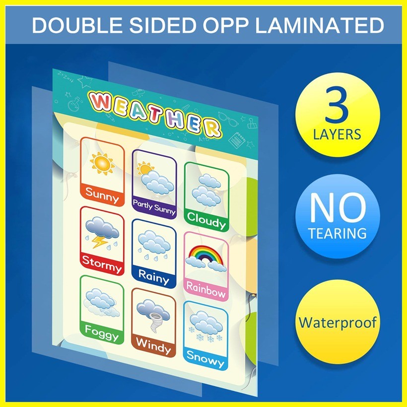 ☑ 12 16 Pcs ABCD Chart For Kid Educational Set Wall Colors Numbers ...