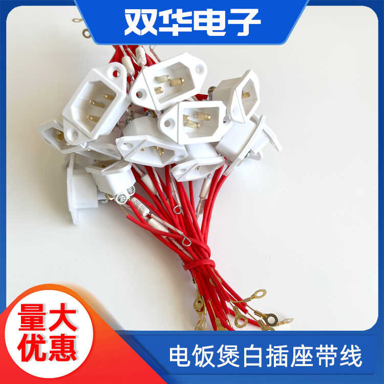 Copper foot rice cooker with safety wire socket, white three hole pin ...