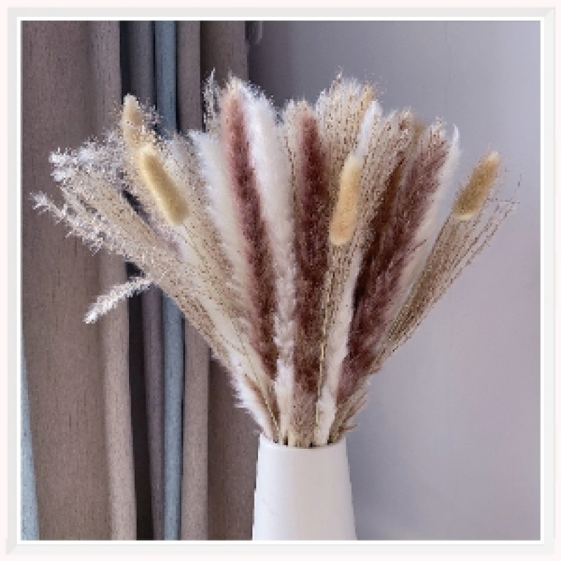 Dried Pampas Grass Decor Natural Brown & White Pampas Grass Bunny Tails ...