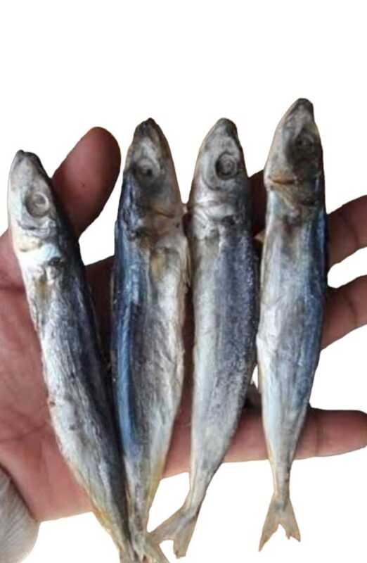 Galunggong Dried Fish Seafood Tuyo Daing Vacuum Sealed 250 Grams And ...