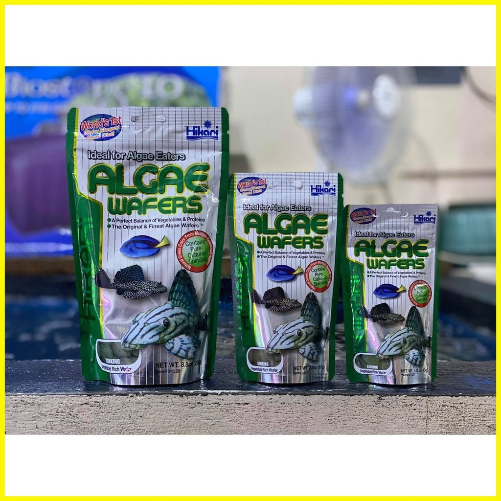 ♒ Hikari Algae Wafers (40g, 82g and 250g) | Shopee Philippines