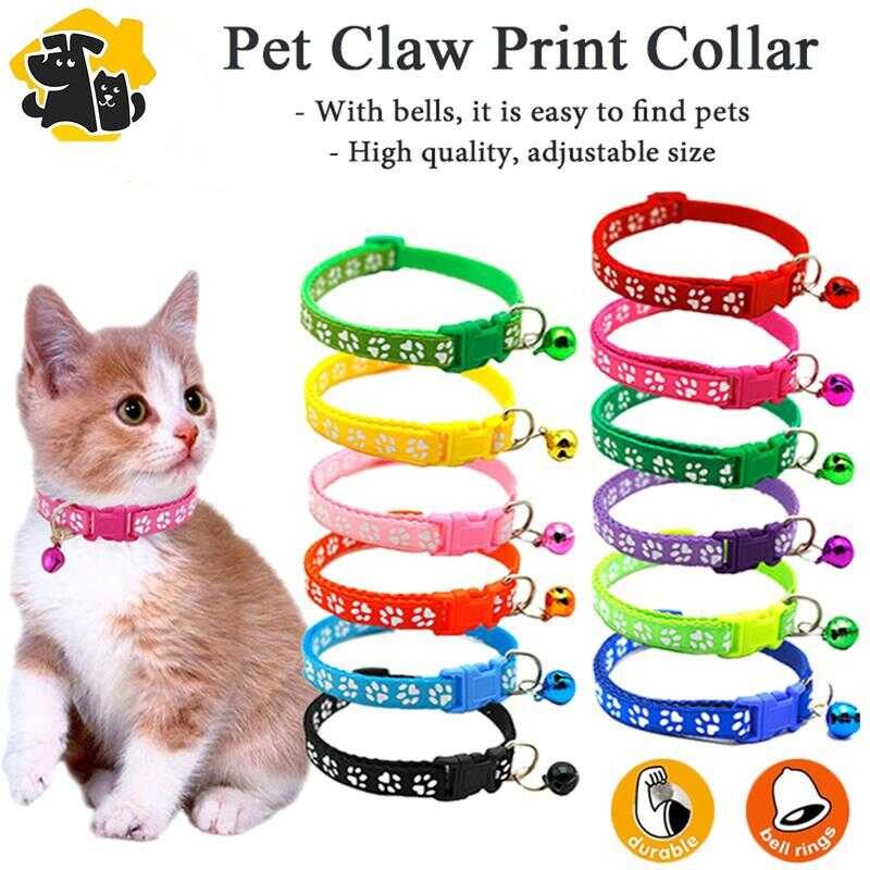 Hayop Domaus Collar Ang Mga Maliliit Na Aso At Pusa Ay Maaaring Magsuot ...
