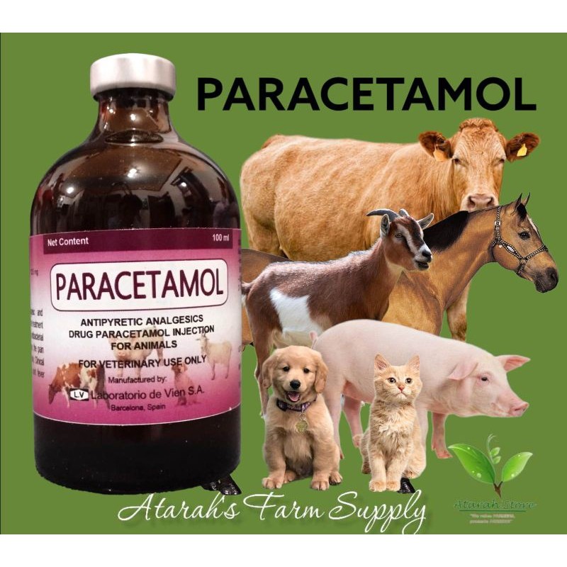 PARACETAMOL Injection for Animals 100ml | Shopee Philippines