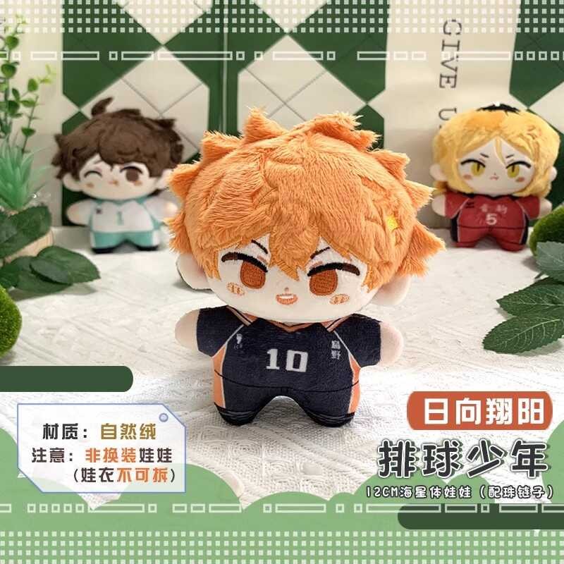 Volleyball Haikyuu plush Sugawara Koush Yu Nishinoya Shoyo Hinata ...