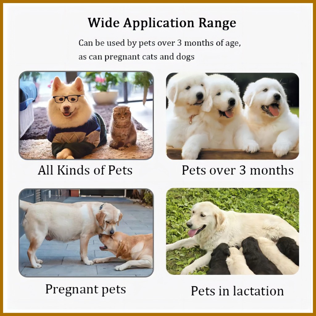 Dog Spray For Tick And Flea Dog Lice Killer Garapata Remover For Dog ...