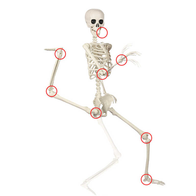Decorations, Skeleton 5.4Ft Life Size Halloween Skeleton, Realistic ...