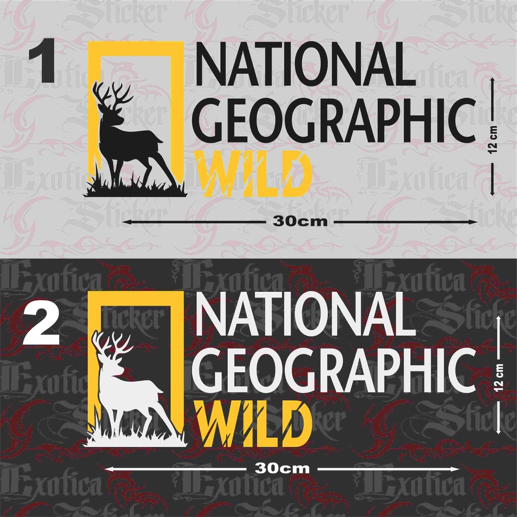 in stock National geographic Wild cutting sticker Car Glass sticker ...