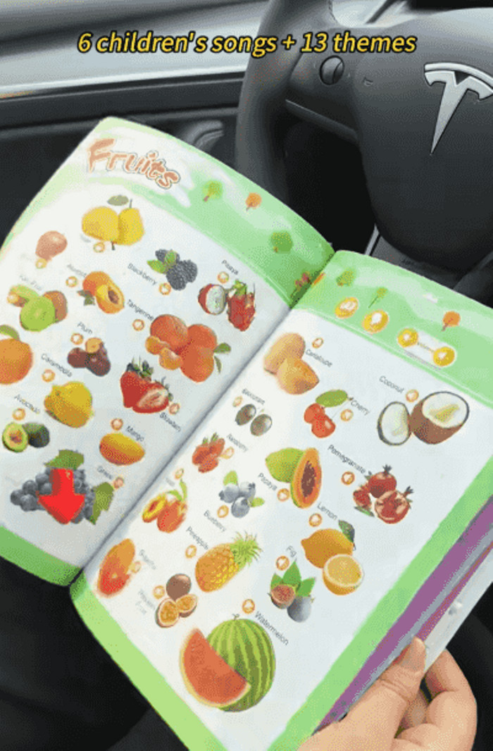 【Early Childhood Education】English Word Reading/Word understanding ...